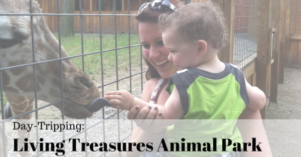 Day-Tripping: Living Treasures Animal Park - Your Beaver County